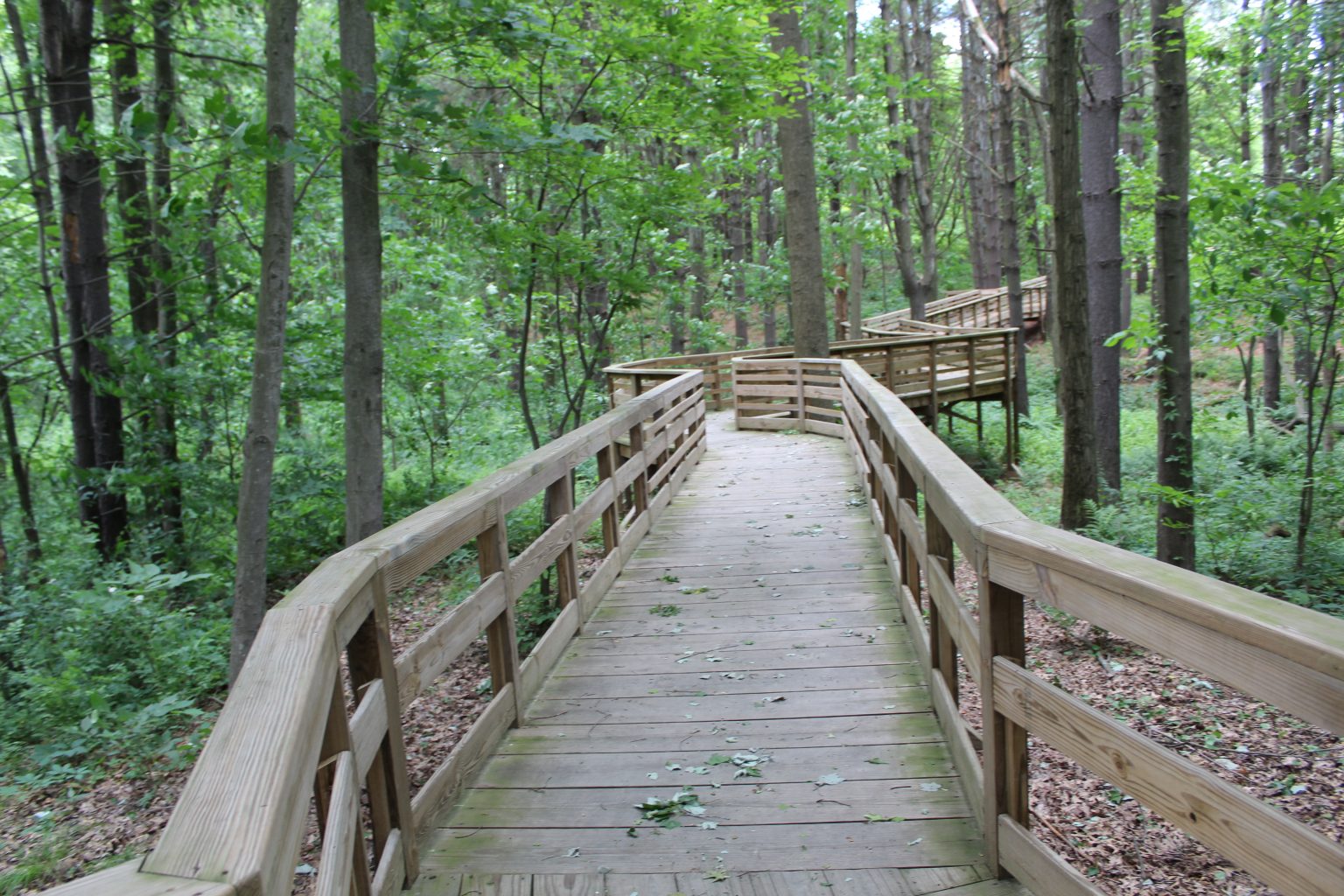 FORT RIVER BIRDING AND NATURE TRAIL – The Fort River Watershed Association